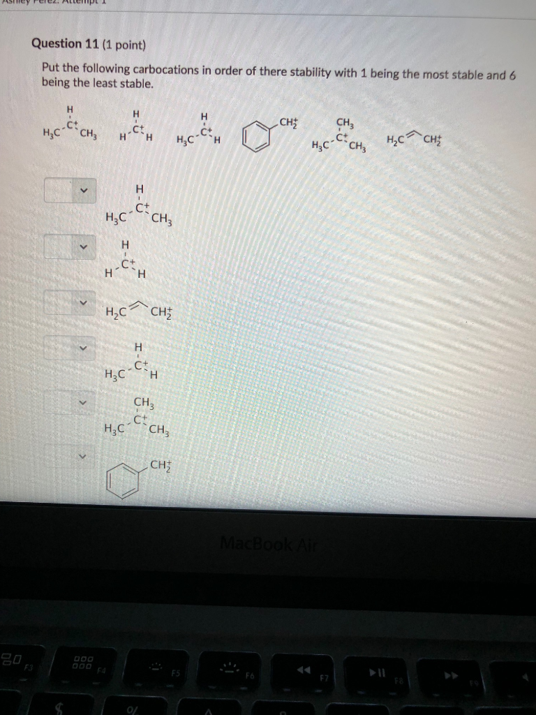 Solved Question 11 (1 point) Put the following carbocations | Chegg.com