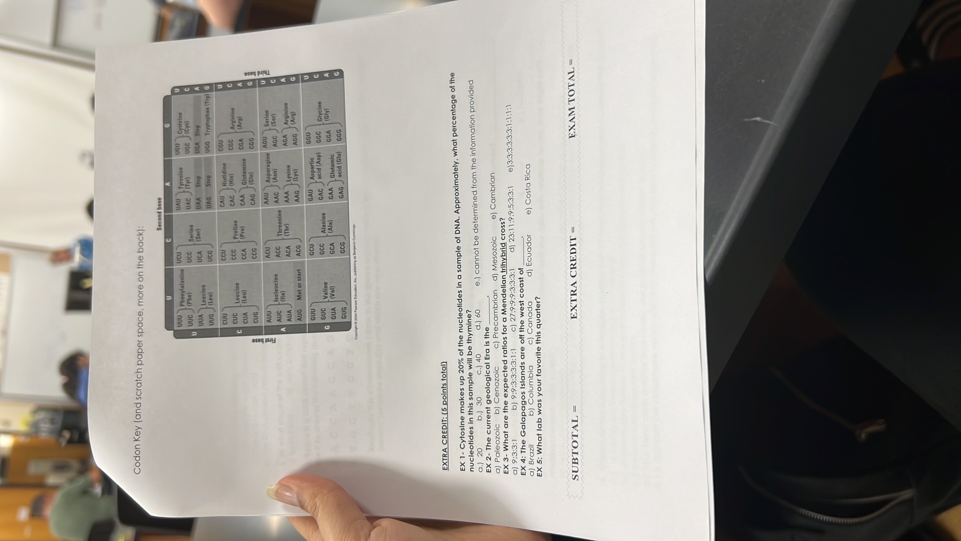 Solved Codon Key (and scratch paper space, more on the | Chegg.com