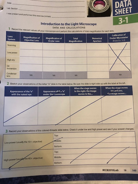 Solved Data Lab Section I was present and performed this | Chegg.com
