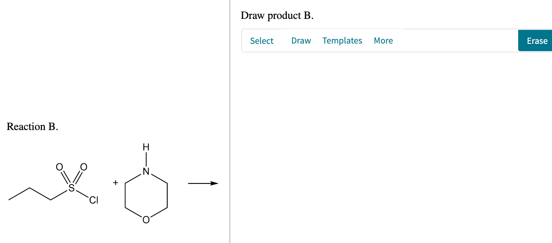 Solved Draw the major organic products of reactions A and B. | Chegg.com