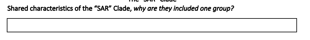 Solved Shared characteristics of the “SAR” Clade, why are | Chegg.com