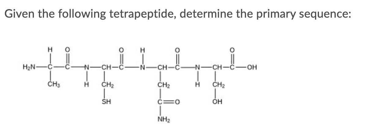 Solved Given the following tetrapeptide, determine the | Chegg.com