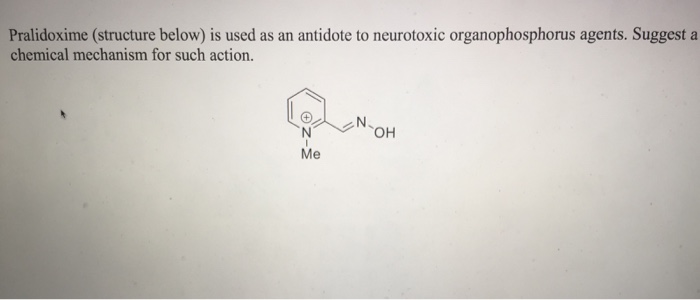Solved Pralidoxime (structure below) is used as an antidote | Chegg.com