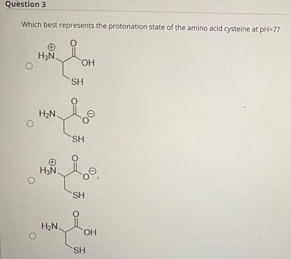 Solved Question 3 Which best represents the protonation | Chegg.com