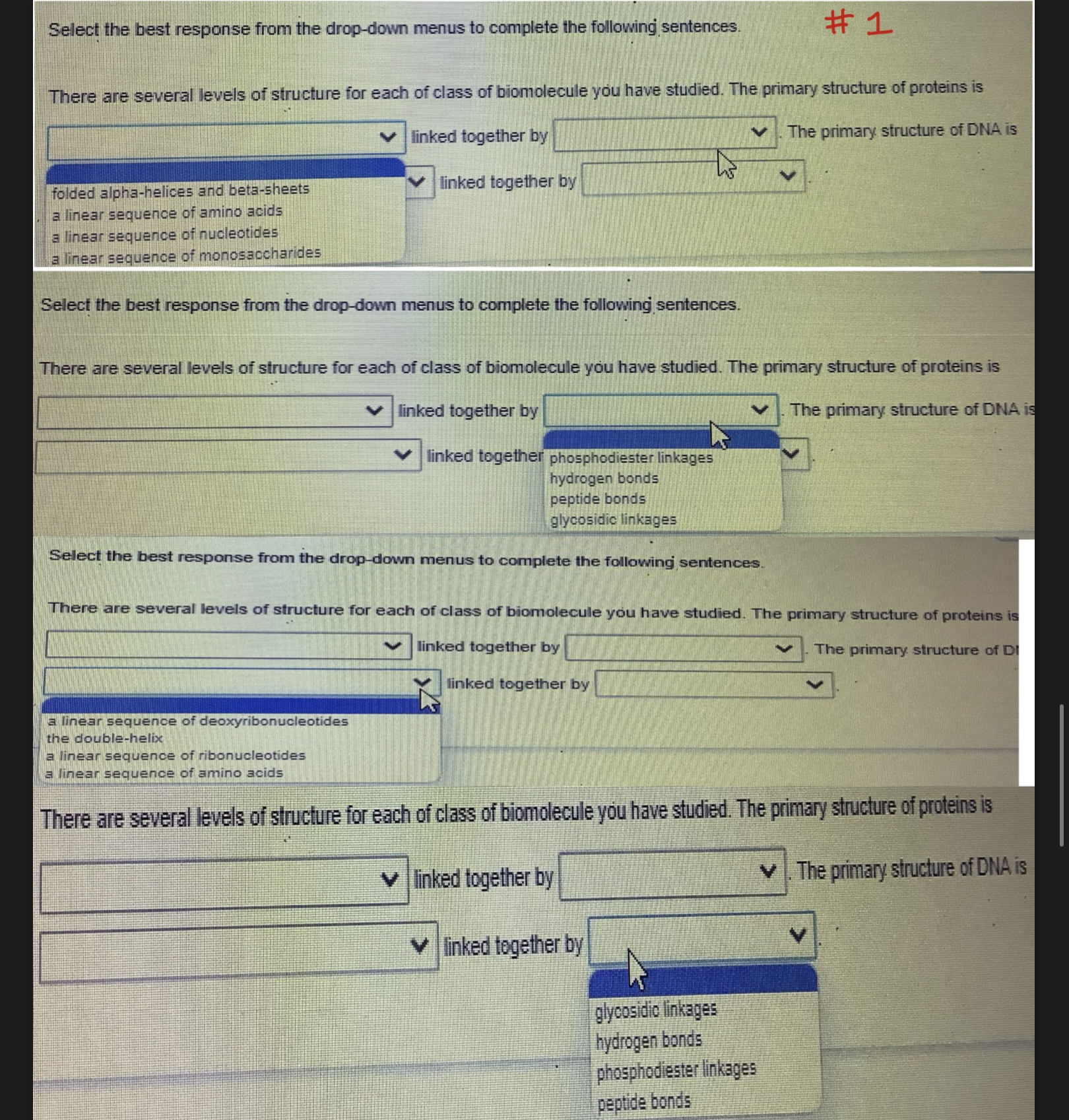 Solved Select the best response from the drop-down menus to | Chegg.com