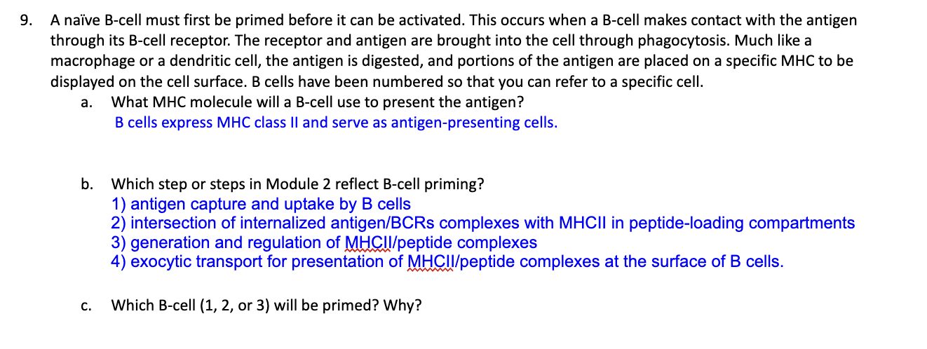 Solved Module 2 - B cell primingA naïve B-cell must first be | Chegg.com