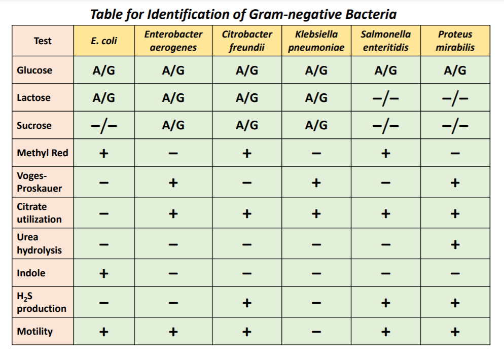 Solved ** I need help on interpretation section in the table | Chegg.com