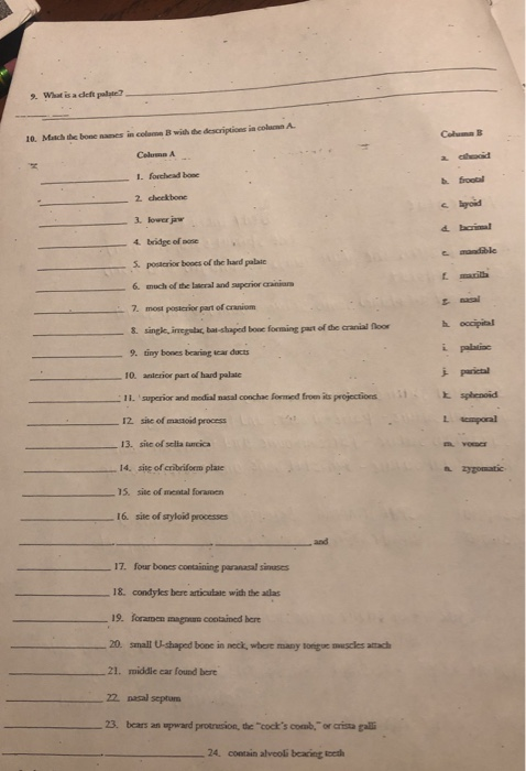 Solved 2. What is a deft palate? Match the bone names in | Chegg.com