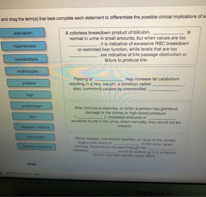 Solved Complete each statement by using the appropriate word | Chegg.com