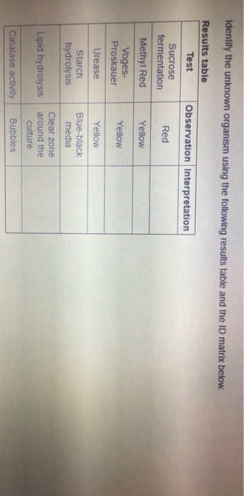 Solved Identify the unknown organism using the following | Chegg.com