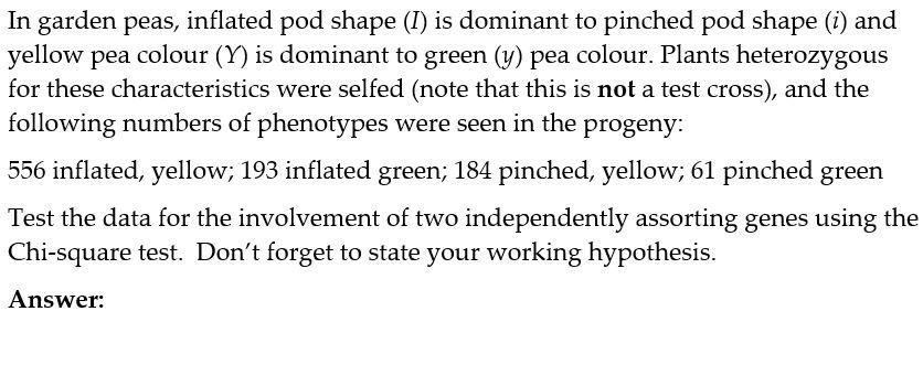 Solved In garden peas, inflated pod shape (I) is dominant to | Chegg.com
