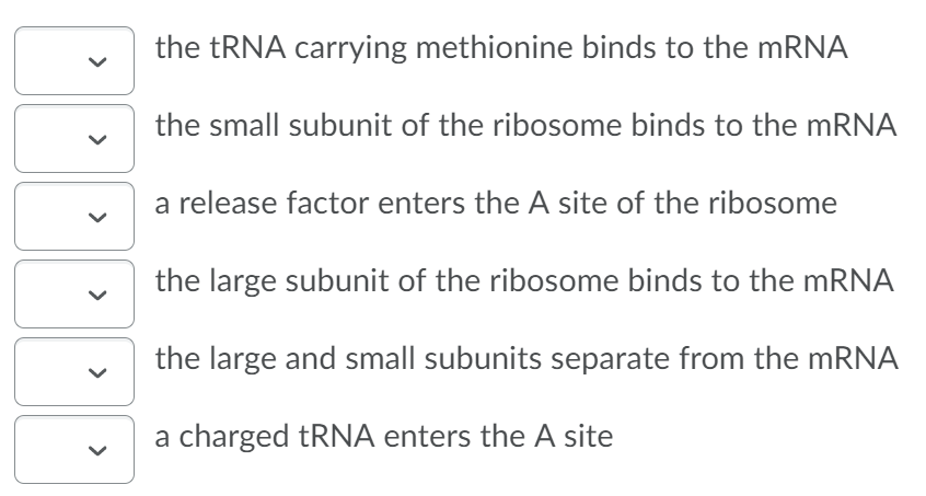 Solved Put the following steps in order in the process | Chegg.com