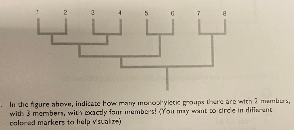 Solved In the figure above, indicate how many monophyletic | Chegg.com