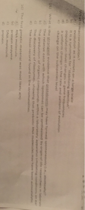 Solved What is macroevolution? evolution as it occurs on a | Chegg.com