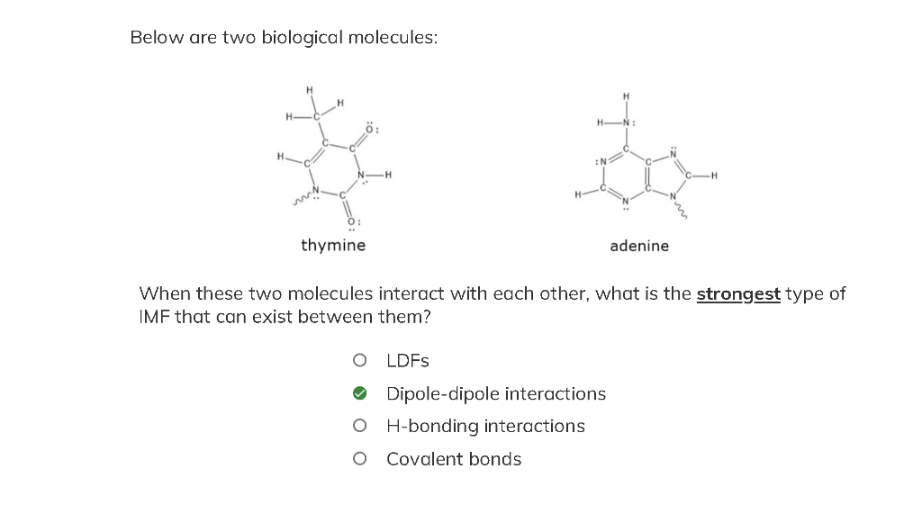 Solved Below are two biological molecules: H H H HC HN: ö: H | Chegg.com