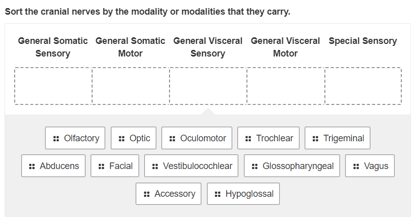 Sort the cranial nerves by the modality or modalities | Chegg.com