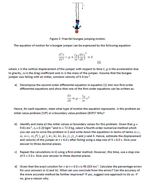 Figure 3: Free-fall bungee jumping motion. The | Chegg.com