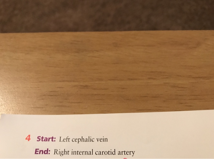 Solved 4 Start: Left cephalic vein End: Right internal | Chegg.com