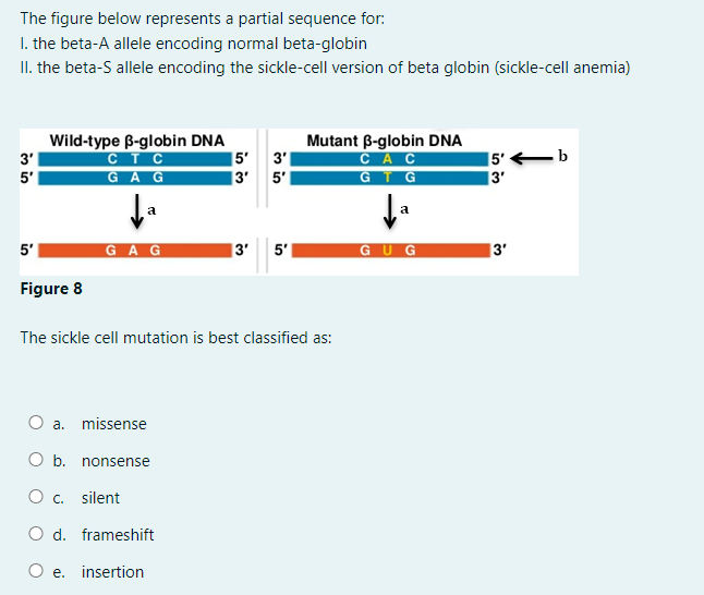 Solved The figure below represents a partial sequence for: | Chegg.com