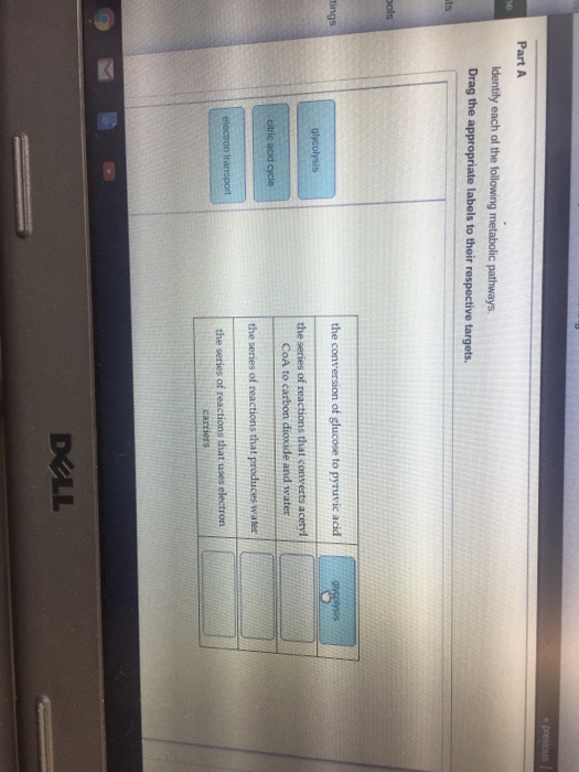 Solved Identify each of the following metabolic pathways. | Chegg.com