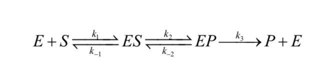 Solved enzymatic reaction E+S →ES → EP→ E+P Derive the | Chegg.com