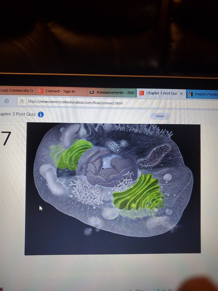 Solved ouis Community Connect - Sign in to Announcements - | Chegg.com