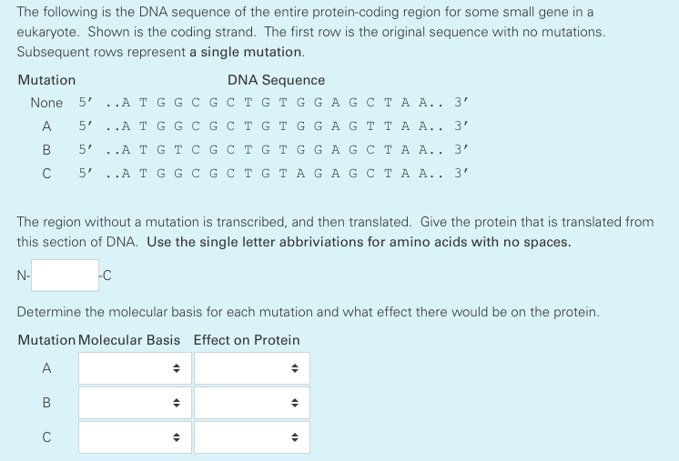 The following is the DNA sequence of the entire | Chegg.com