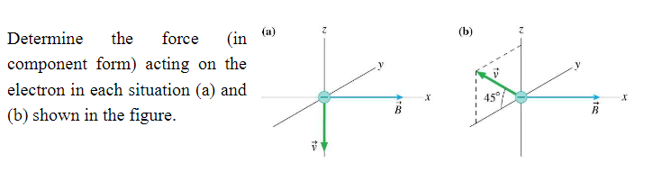 Solved Determine the force (in component form) acting on the | Chegg.com