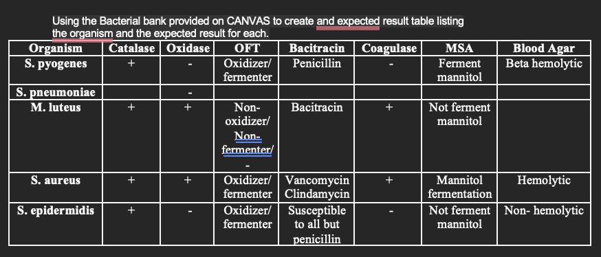 Solved Using the Bacterial bank provided on CANVAS to create | Chegg.com