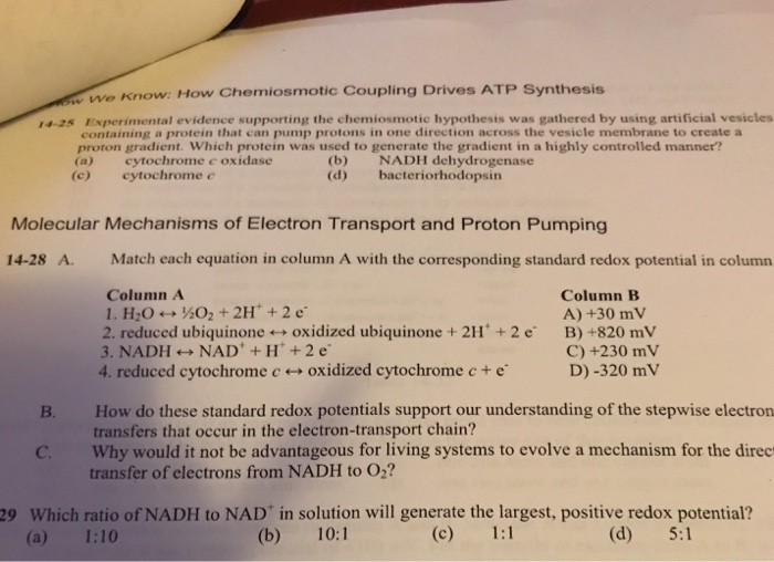 Solved we Know: How Chemiosmotic Coupling Drives ATP | Chegg.com