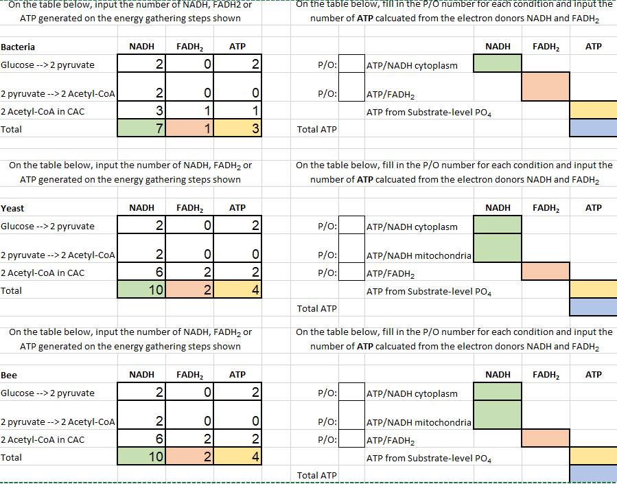 On the table below, input the number of NADH, FADH2 | Chegg.com