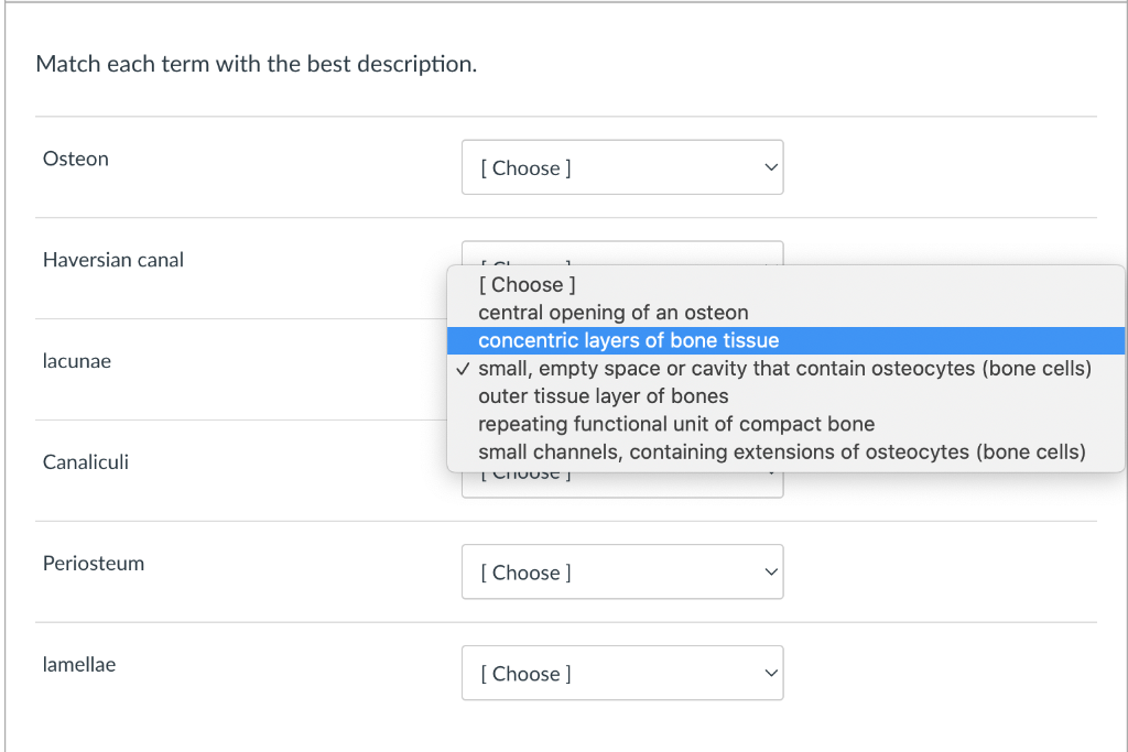 Solved Match each term with the best description. Osteon | Chegg.com