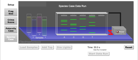 Solved I need help determining the DNA sequence by analyzing | Chegg.com