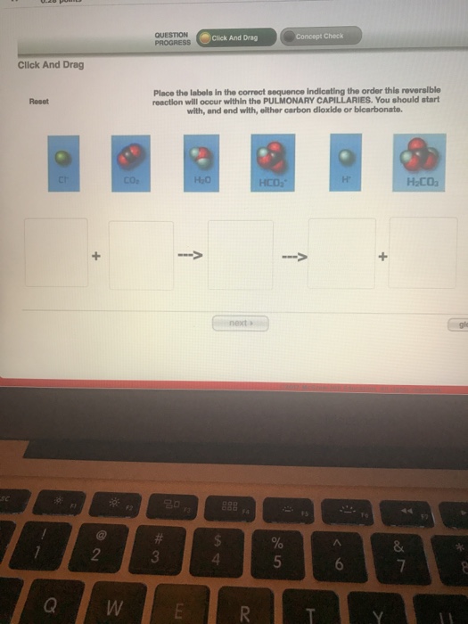 Solved Click And Drag Concept Check PROGRESS Click And Drag | Chegg.com
