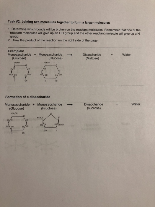 Solved Task #2. Joining two molecules together tp form a | Chegg.com