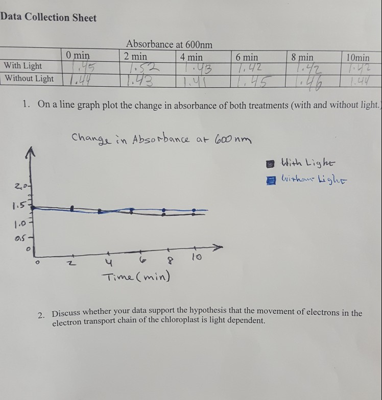 Solved Data Collection Sheet Absorbance at 600nm 2 min 0 min | Chegg.com