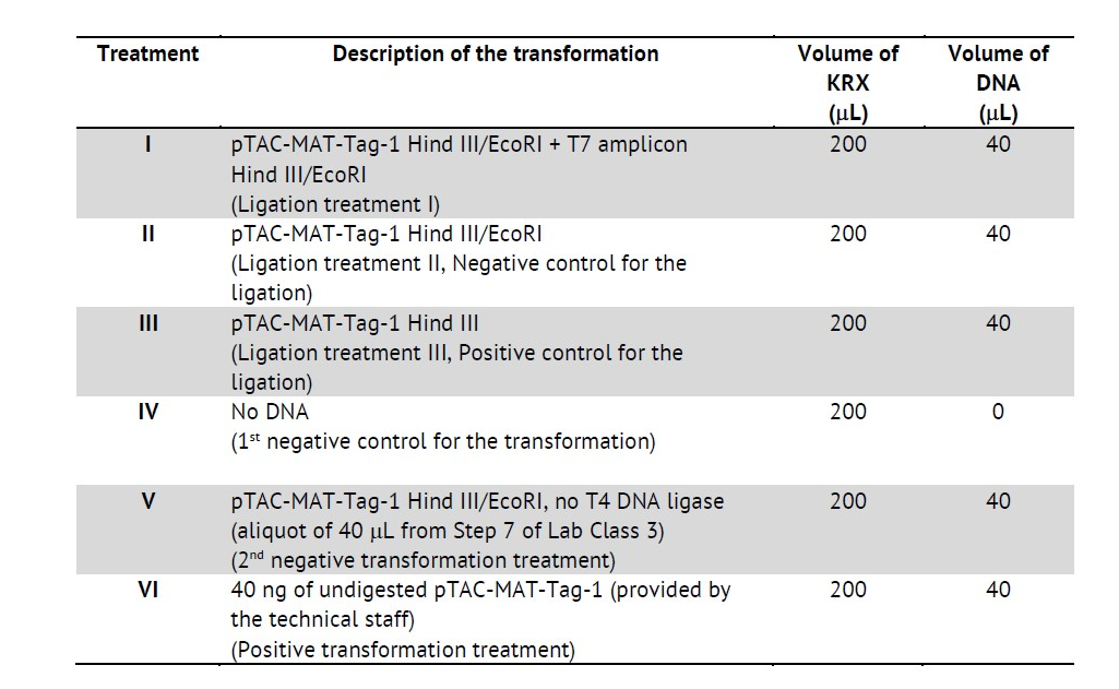 Solved Transformation. Ligation and transformation controls | Chegg.com