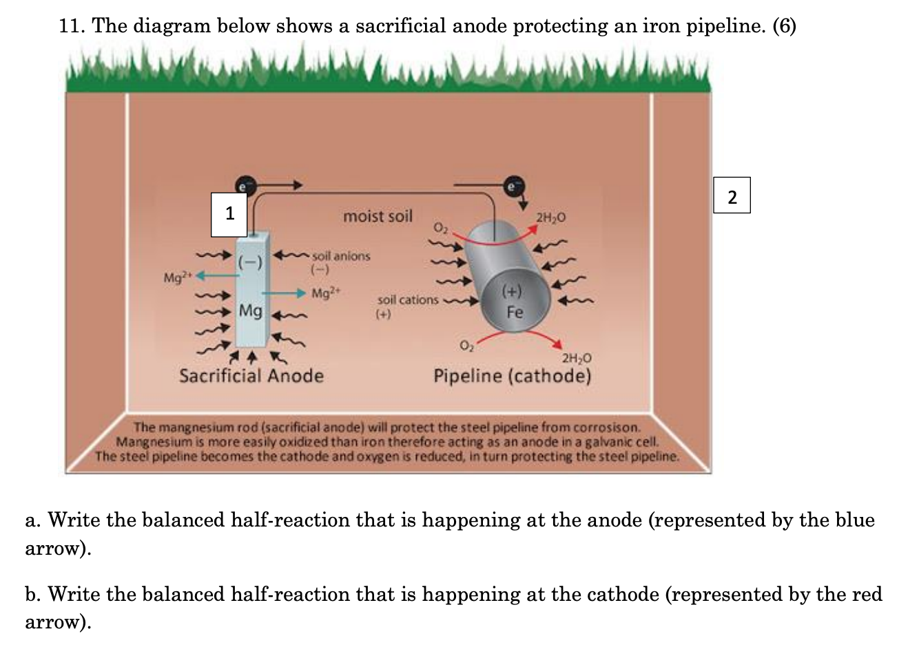 Solved 11. The diagram below shows a sacrificial anode | Chegg.com