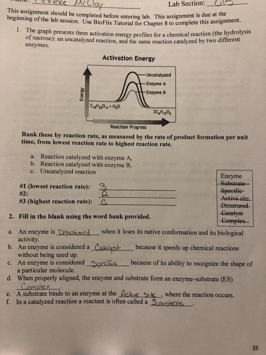 Solved Lab Section:b This assignment should be completed | Chegg.com