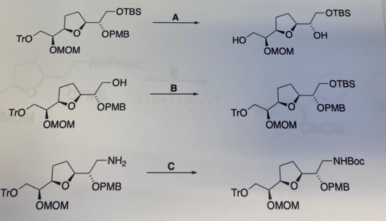 Solved OTBS А. OTBS о OPMB Tro ОН НО OMOM OMOM ОН в -OTBS о | Chegg.com