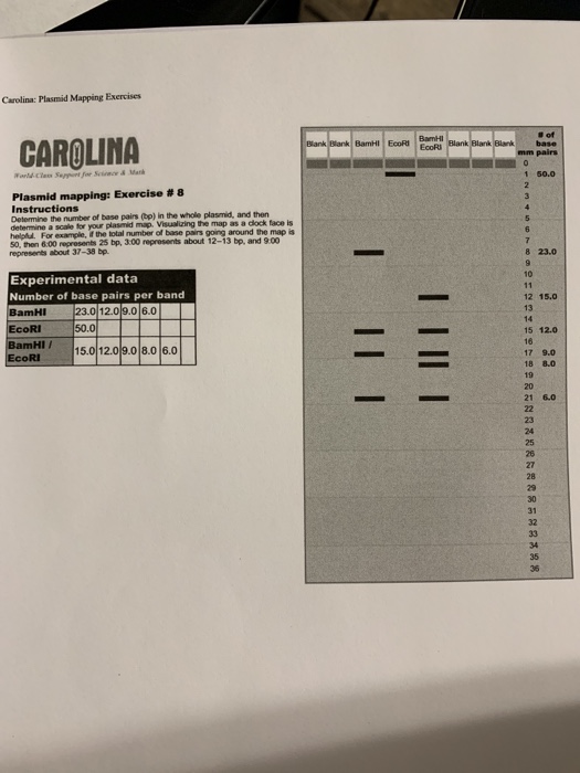 Solved Carolina Plasmid Mapping Exercises Carolina S Of Mm 5775