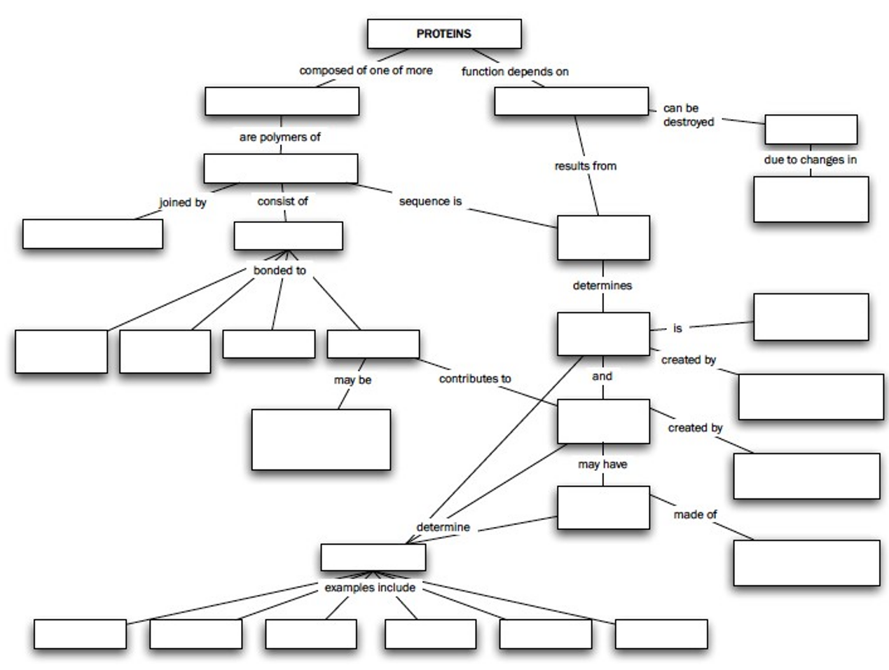 Solved Complete the concept map regarding protein structure | Chegg.com