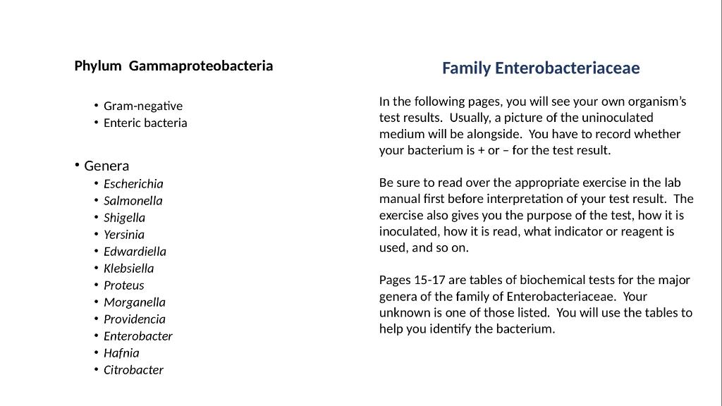 A “Virtual” Unknown Bacteria Identification Phylum | Chegg.com
