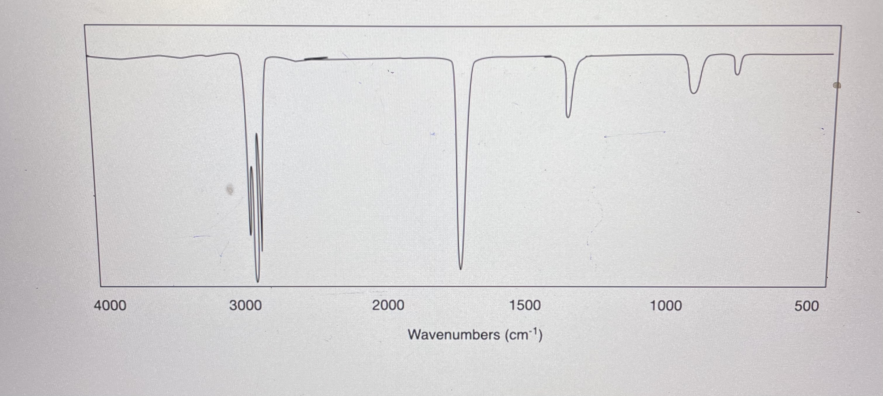 Solved An IR spectrum, a 13C NMR spectrum, and a 1H NMR | Chegg.com Solved An IR spectrum, a 13C NMR spectrum, and a 1H NMR | Chegg.com