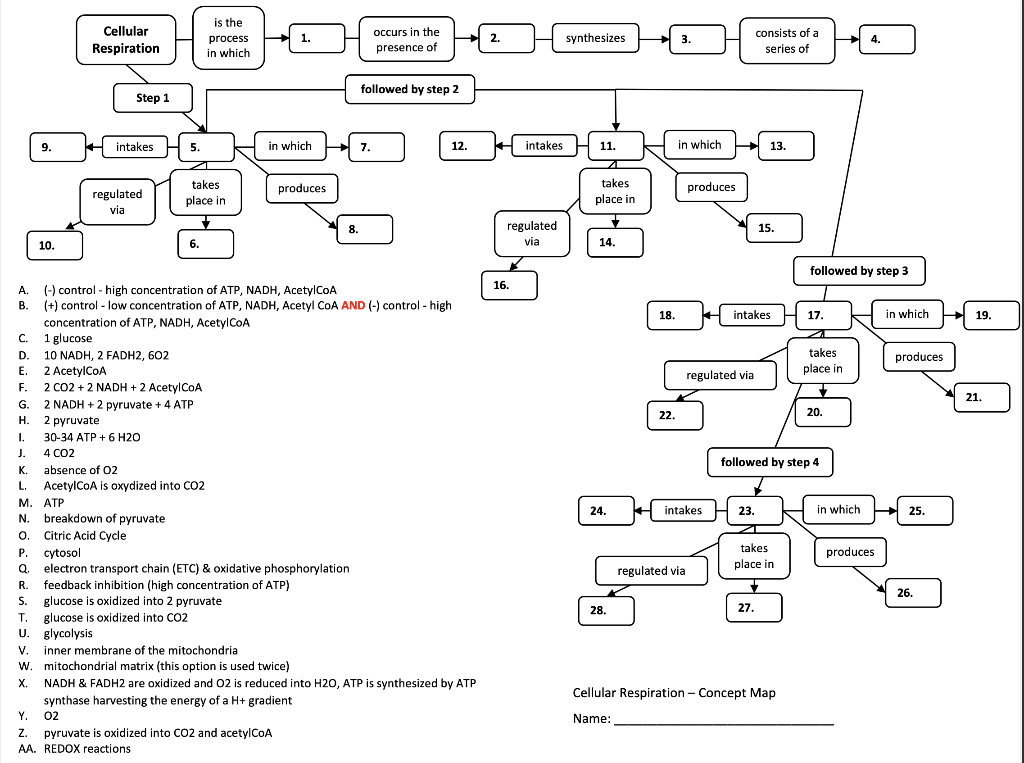 Solved Cellular Respiration is the process in which 1. | Chegg.com