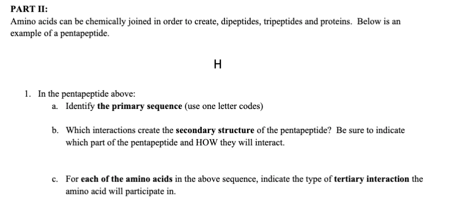 Solved PART II: Amino acids can be chemically joined in | Chegg.com