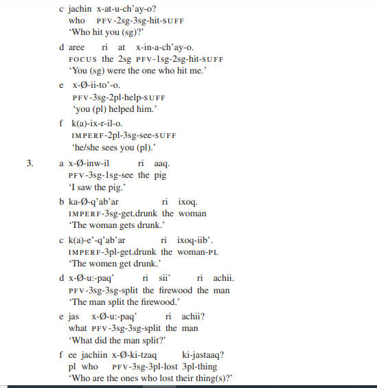 LINGUISTICS ( MORPHOLOGY AND SYNTAX) 7A Quich´e | Chegg.com