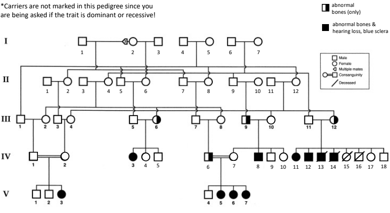 Solved See the attached pedigree. The phenotype(s) for | Chegg.com