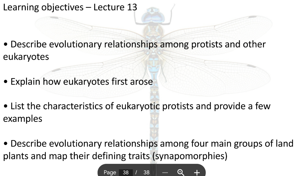 Solved Learning objectives - Lecture 13 - Describe | Chegg.com