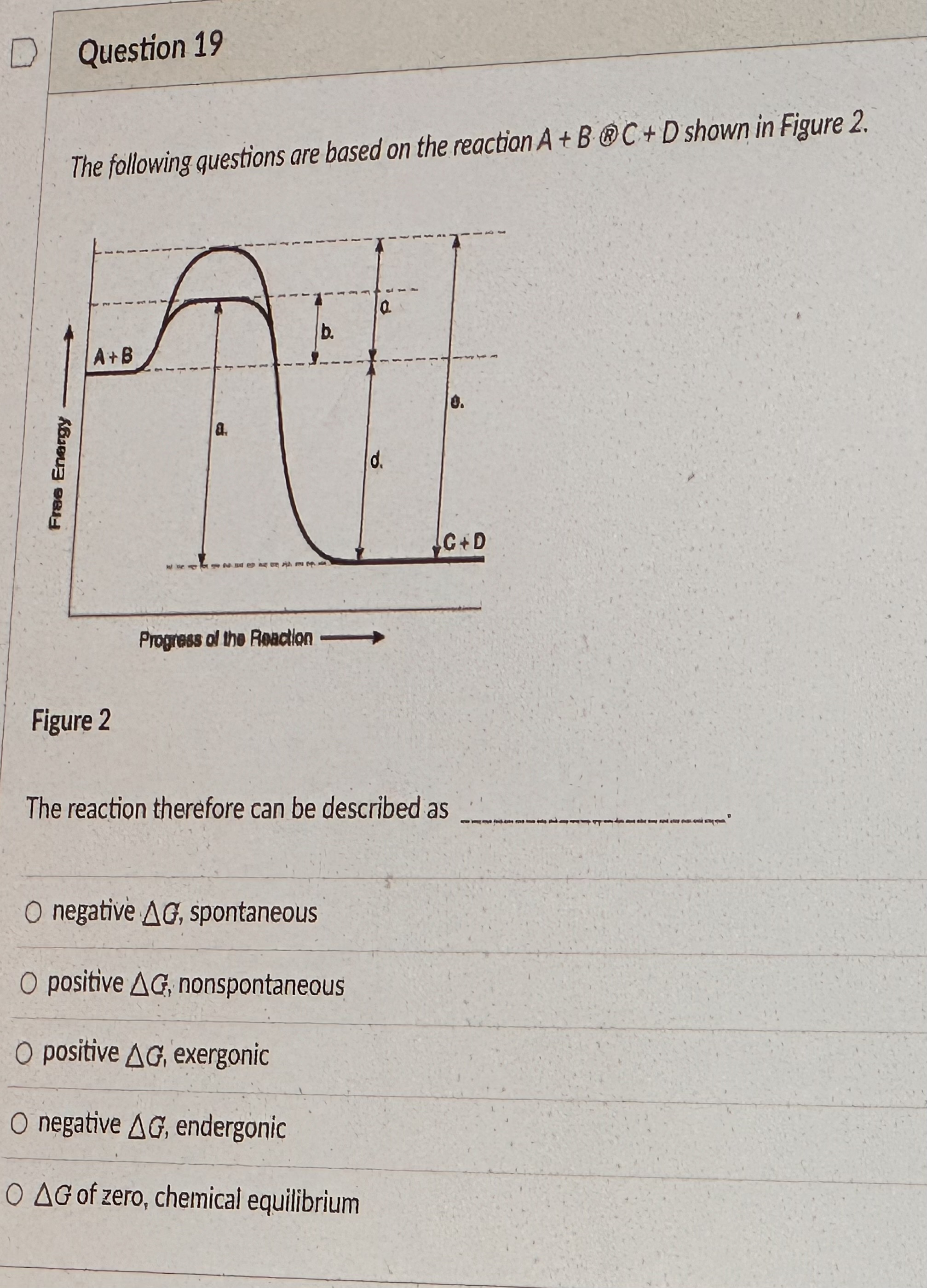 Solved The following questions are based on the reaction | Chegg.com